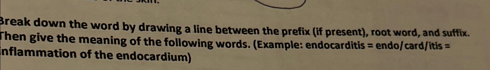 Solved Break down the word by drawing a line between the | Chegg.com