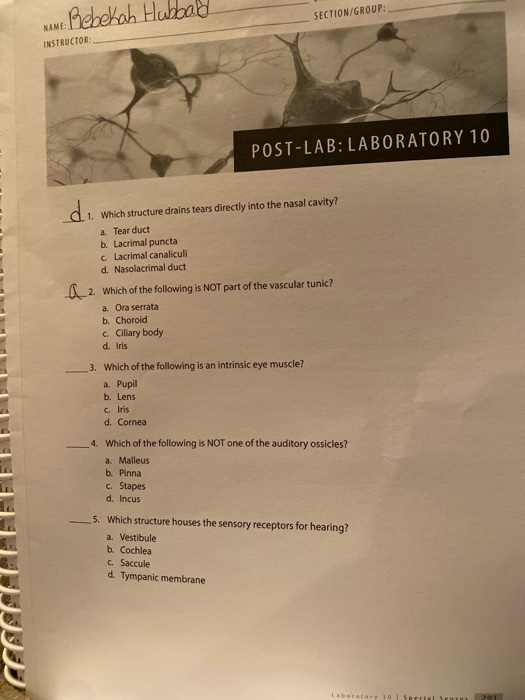 Solved 6. Which structure is responsible for detecting | Chegg.com