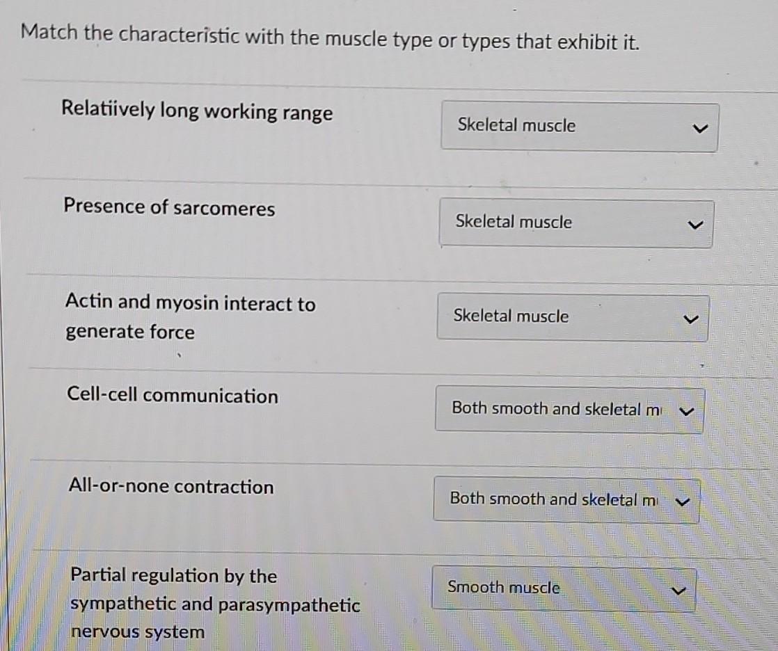 Solved Match the characteristic with the muscle type or | Chegg.com