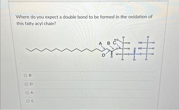 Solved Where do you expect a double bond to be formed in the | Chegg.com