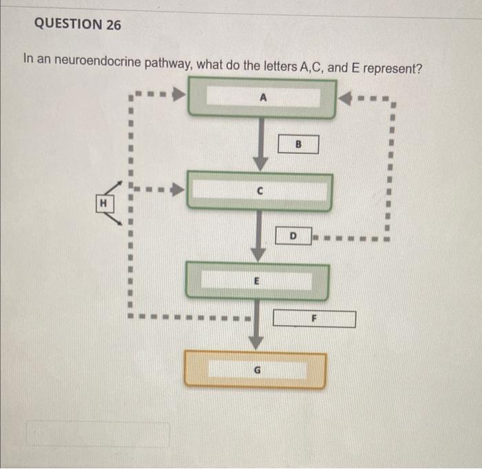 Solved in an neuroendocrine pathway, what do the letters, A, | Chegg.com