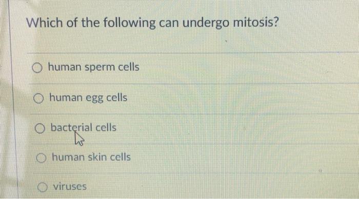Solved Which of the following can undergo mitosis? human | Chegg.com