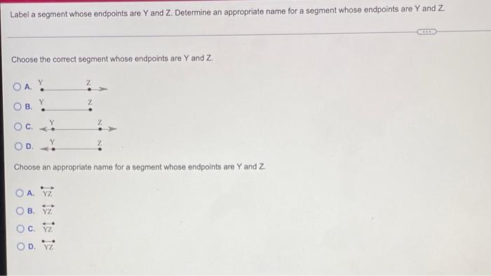 Solved Label a segment whose endpoints are Y and Z. | Chegg.com