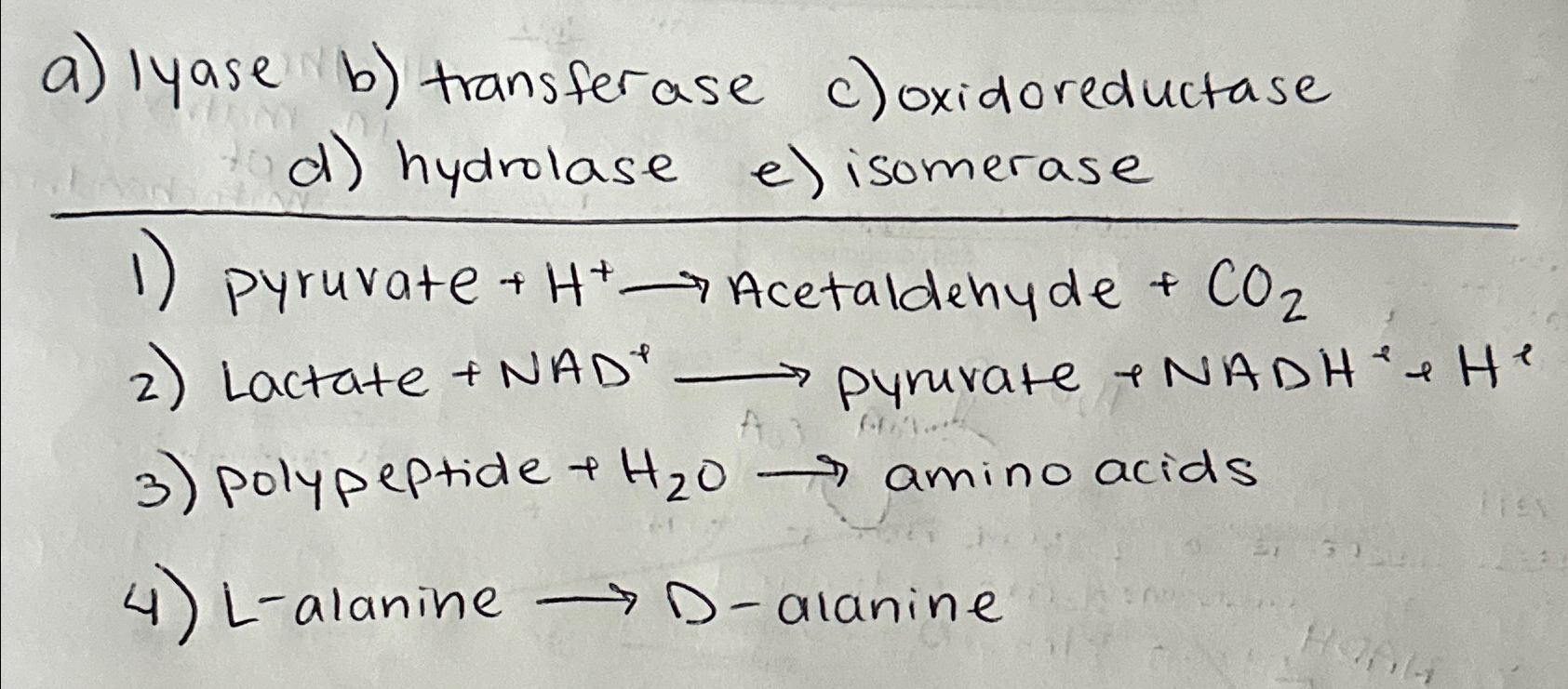 Solved Match the class of enzyme that catalyzes each | Chegg.com
