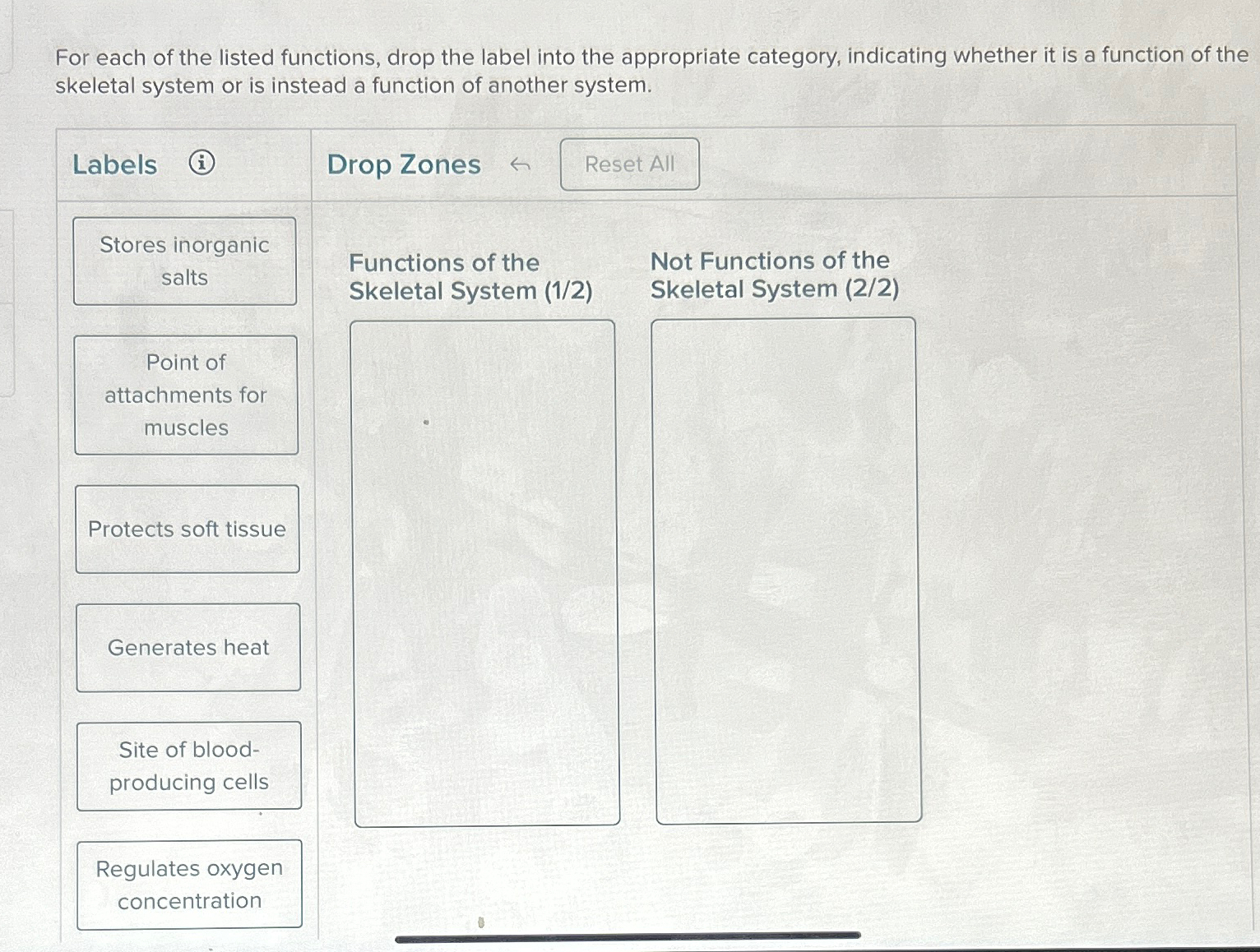Solved For each of the listed functions, drop the label into | Chegg.com