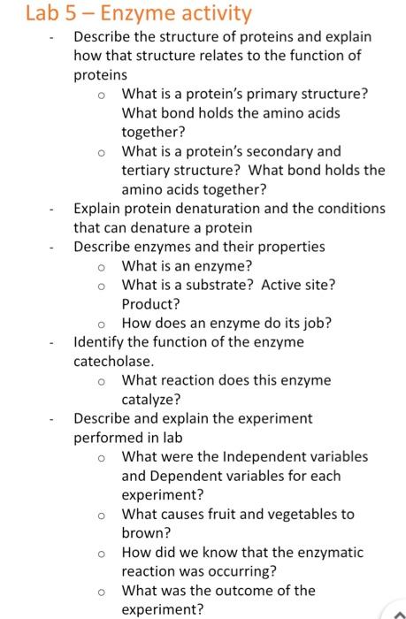 Solved Lab 5 - Enzyme activity Describe the structure of | Chegg.com