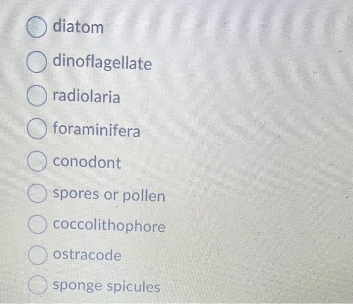 Solved Identify the microfossil in the photo. diatom | Chegg.com