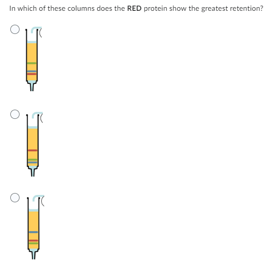 Solved In which of these columns does the RED protein show | Chegg.com