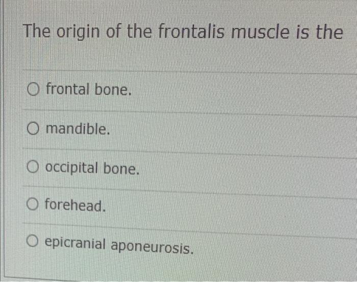 Solved The origin of the frontalis muscle is the Ofrontal | Chegg.com