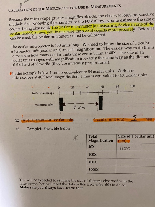 Solved CALIBRATION OF THE MICROSCOPE FOR USE IN MEASUREMENTS | Chegg.com