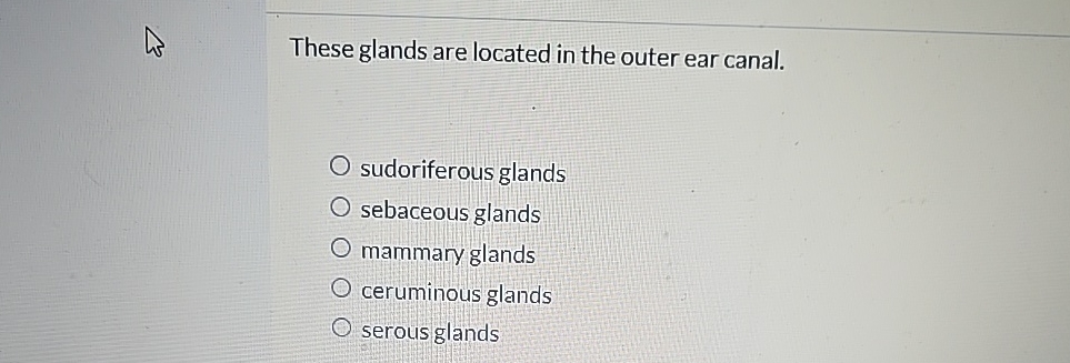 Solved These glands are located in the outer ear | Chegg.com