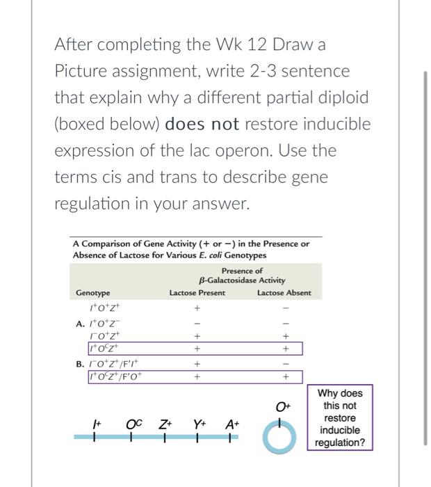 Solved please provide me with the answer that they need on | Chegg.com