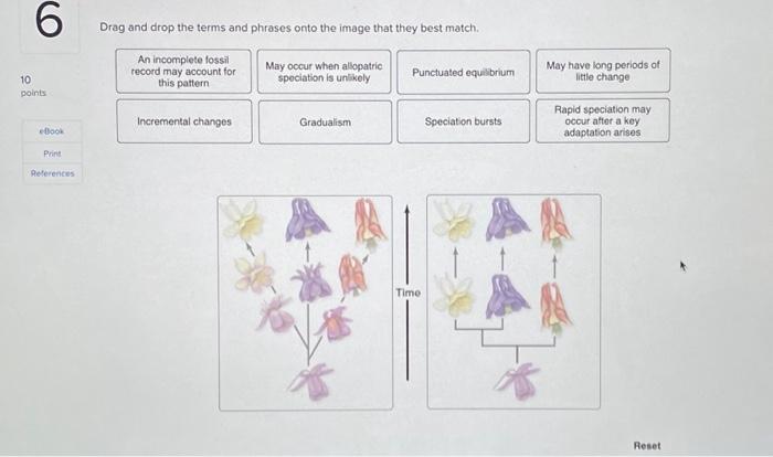Solved Drag and drop the terms and phrases onto the image | Chegg.com