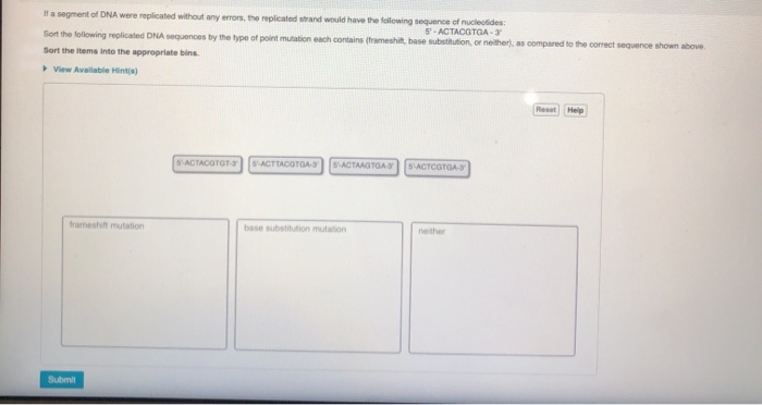 Solved A true reversion occurs when the wild-type DNA | Chegg.com