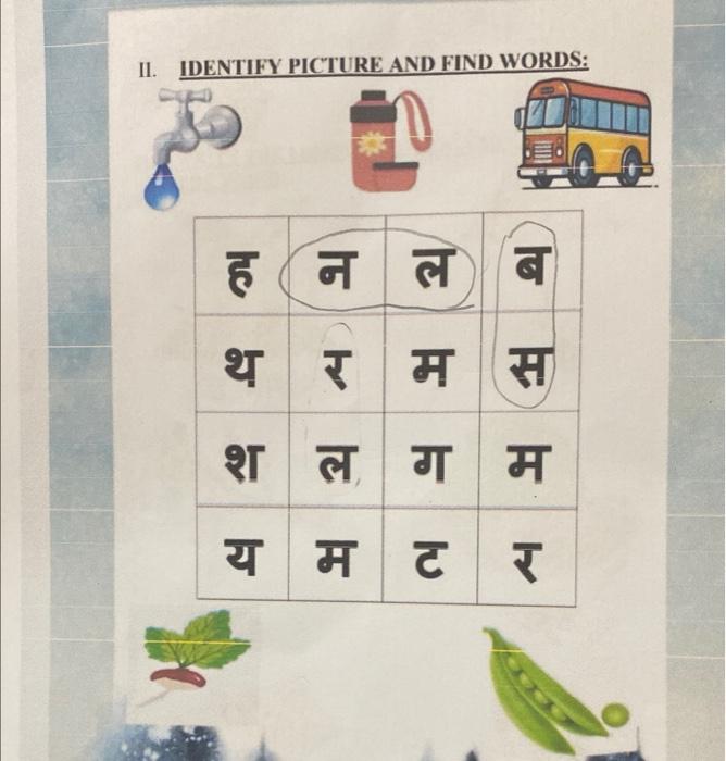 II. IDENTIFY PICTURE AND FIND WORDS: | Chegg.com