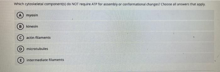 Solved Which cytoskeletal component(s) do NOT require ATP | Chegg.com