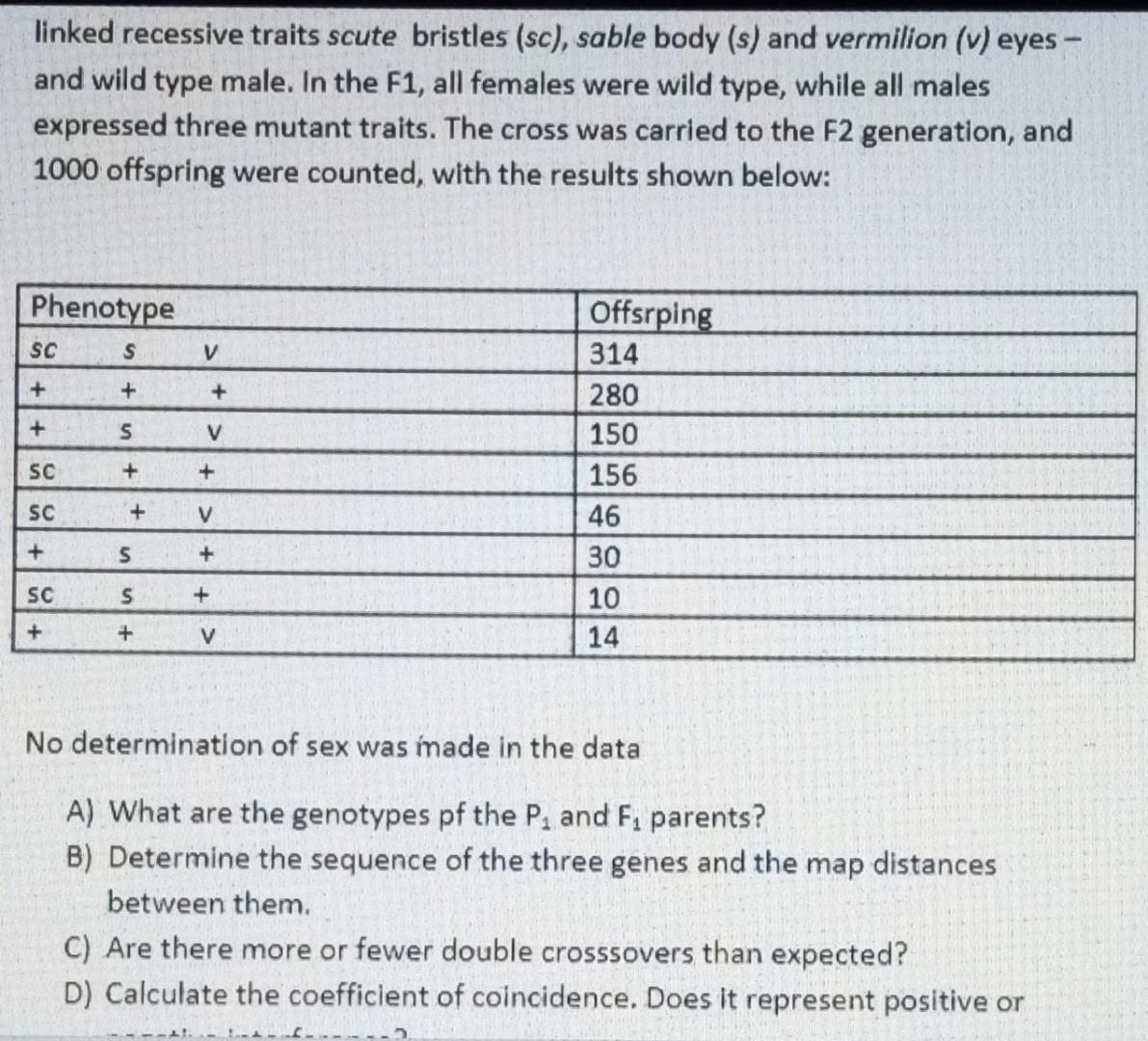 Solved linked recessive traits scute bristles (sc), sable | Chegg.com