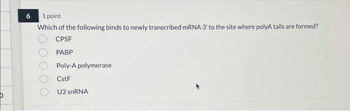 Solved Which of the following binds to newly transcribed | Chegg.com