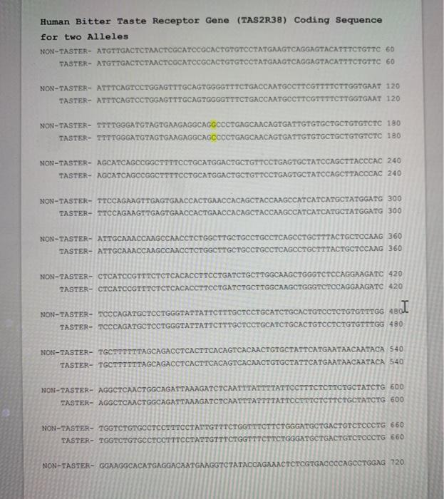 Solved AQ6) How many amino acids are in the TAS2R38 protein? | Chegg.com