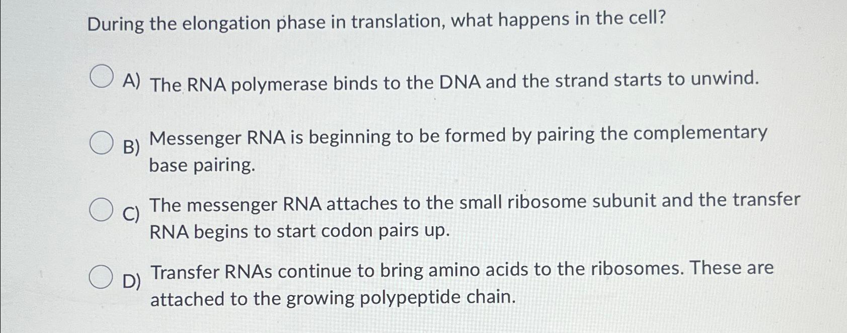 Solved During the elongation phase in translation, what | Chegg.com
