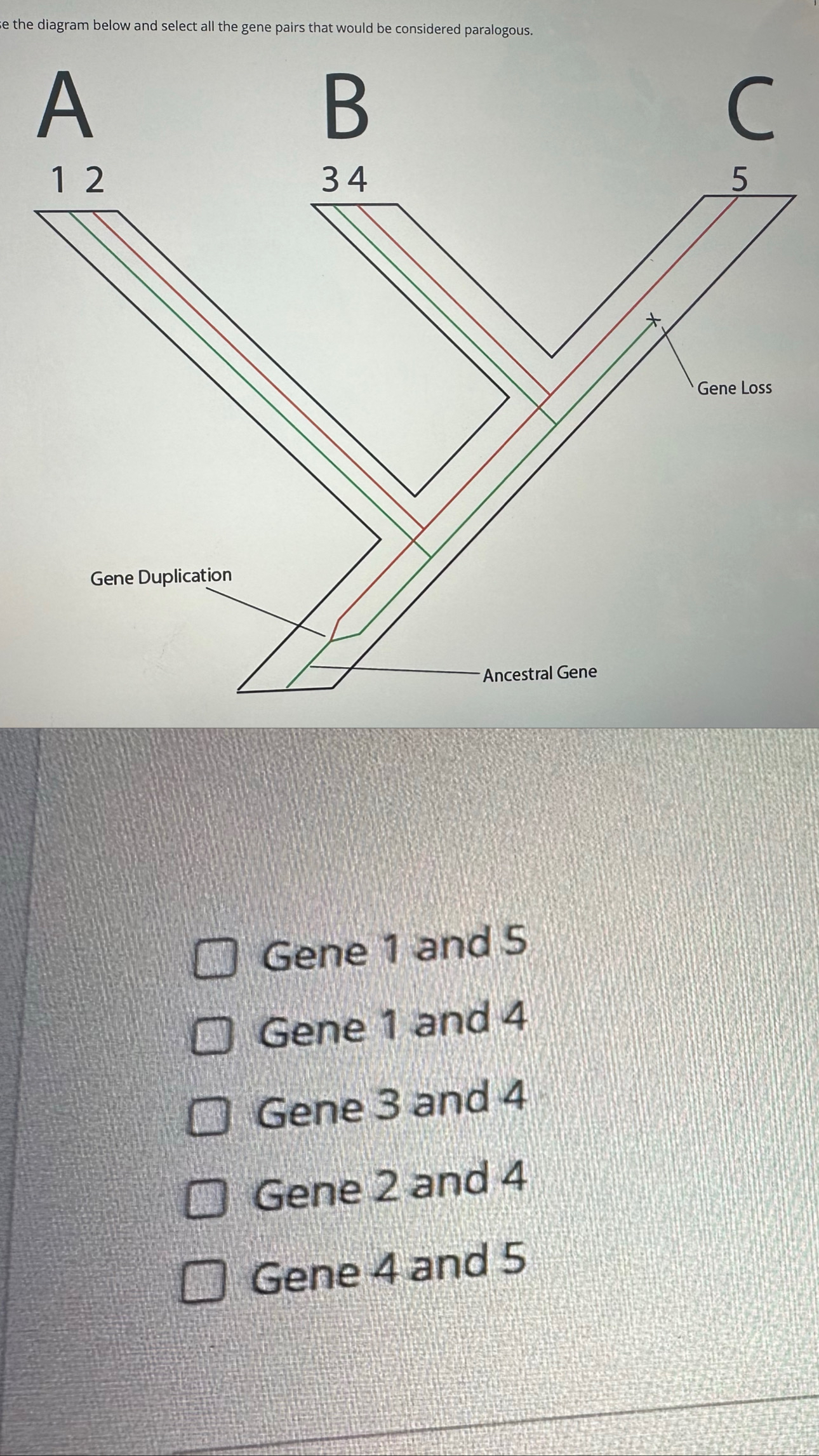 Solved Gene 1 ﻿and 5Gene 1 ﻿and 4Gene 3 ﻿and 4Gene 2 ﻿and | Chegg.com