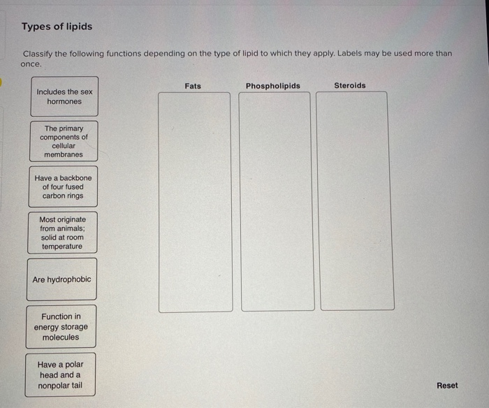 Solved Types of lipids Classify the following functions | Chegg.com