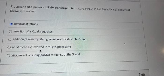 Solved Processing of a primary mRNA transcript into mature | Chegg.com