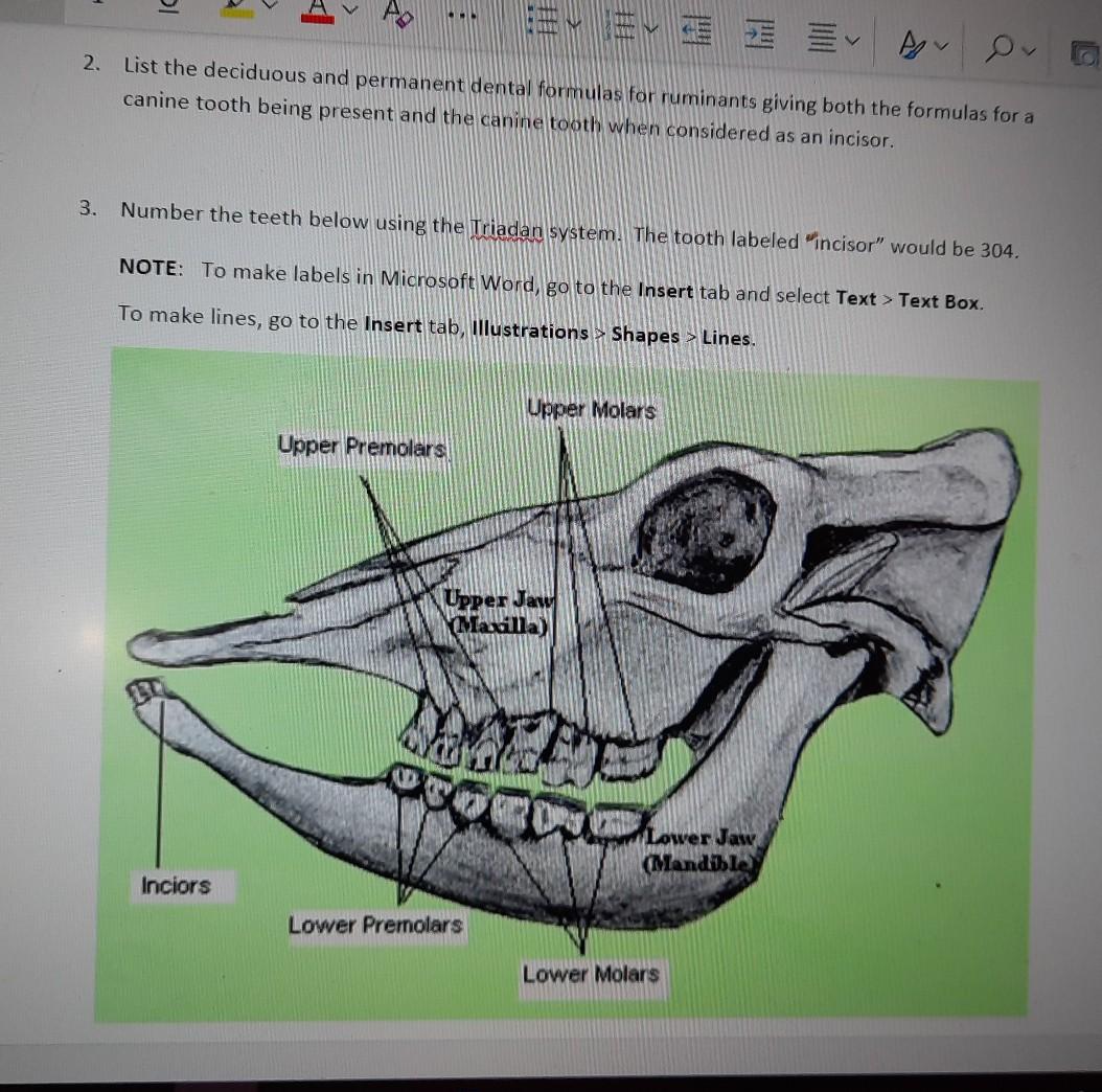 Solved ol ... V 2. List the deciduous and permanent dental | Chegg.com