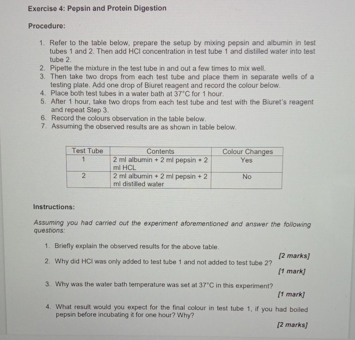 Solved Exercise 4: Pepsin and Protein Digestion Procedure: | Chegg.com