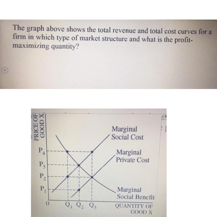 Solved The graph above shows the total revenue and total | Chegg.com