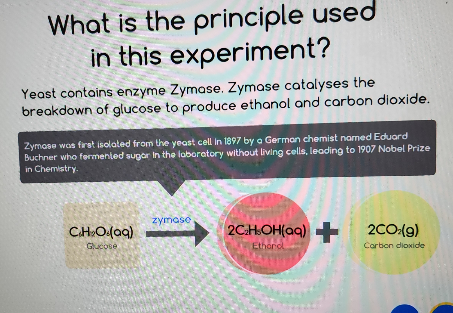 Solved Explanation - ﻿Flask 21236Yeast + ﻿Glucose + | Chegg.com