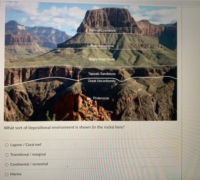 Solved Redwal Limestone Muav limestone Bright Angel Shale | Chegg.com