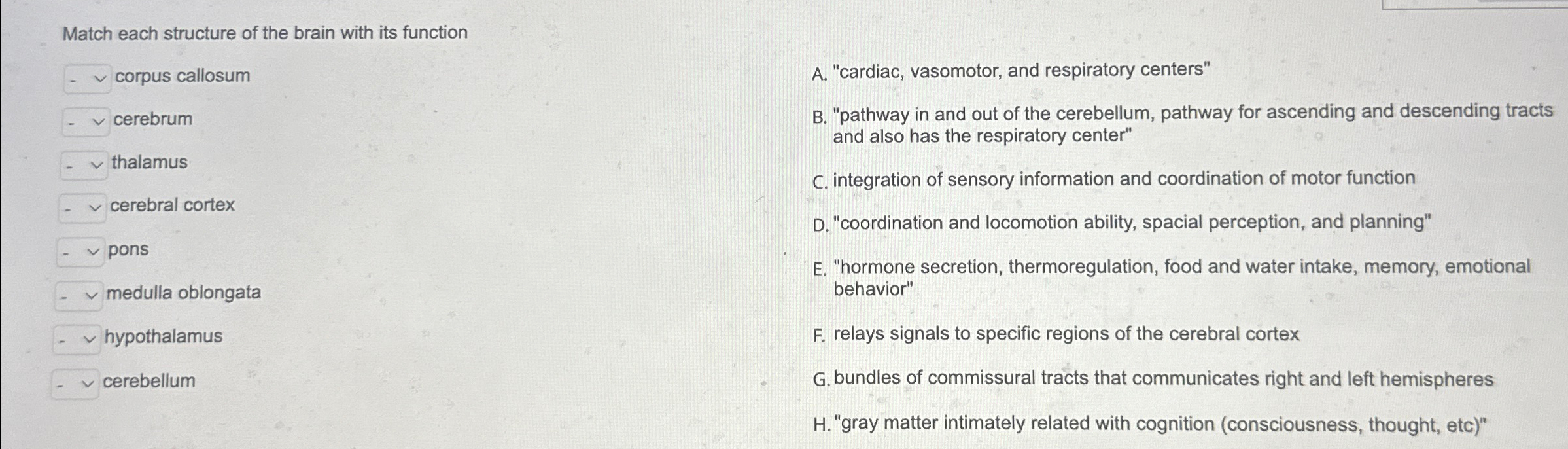 Solved Match each structure of the brain with its | Chegg.com