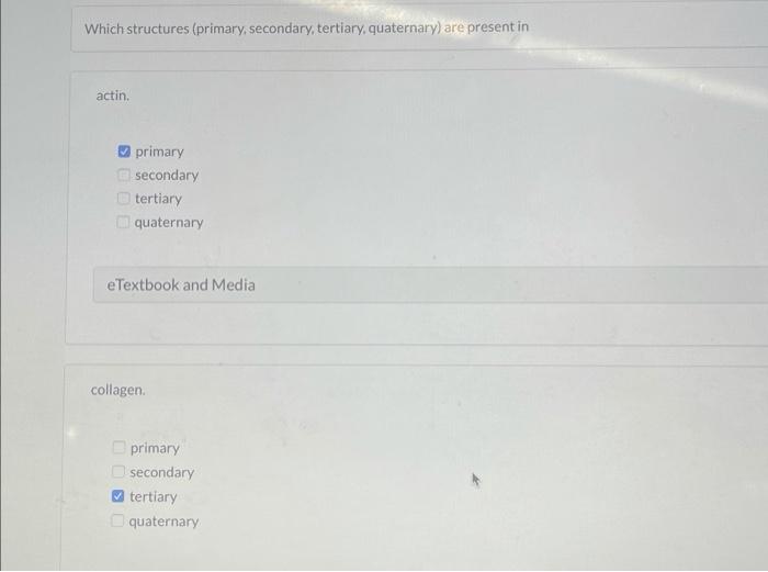 Solved Which structures (primary, secondary, tertiary, | Chegg.com