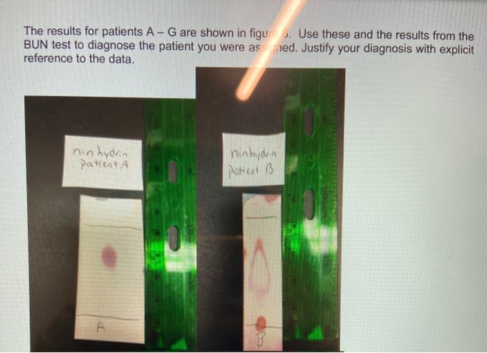 Goal of the project Your goal is this project will be | Chegg.com