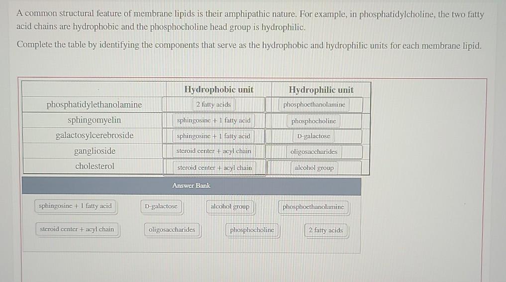 Solved A common structural feature of membrane lipids is | Chegg.com