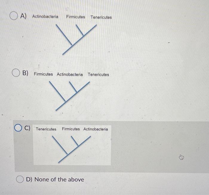 Solved Which of the following correctly depicts the | Chegg.com