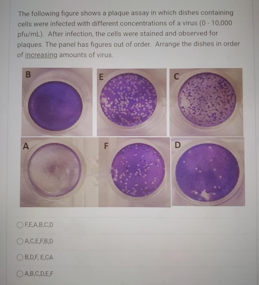 Solved The following figure shows a plaque assay in which | Chegg.com