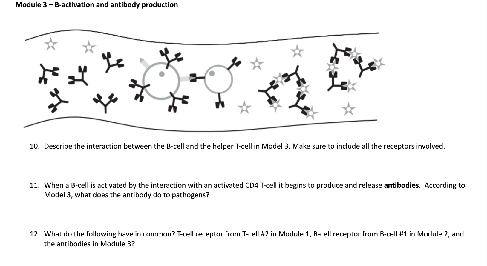 Solved Module 3 - ﻿B-activation and antibody | Chegg.com