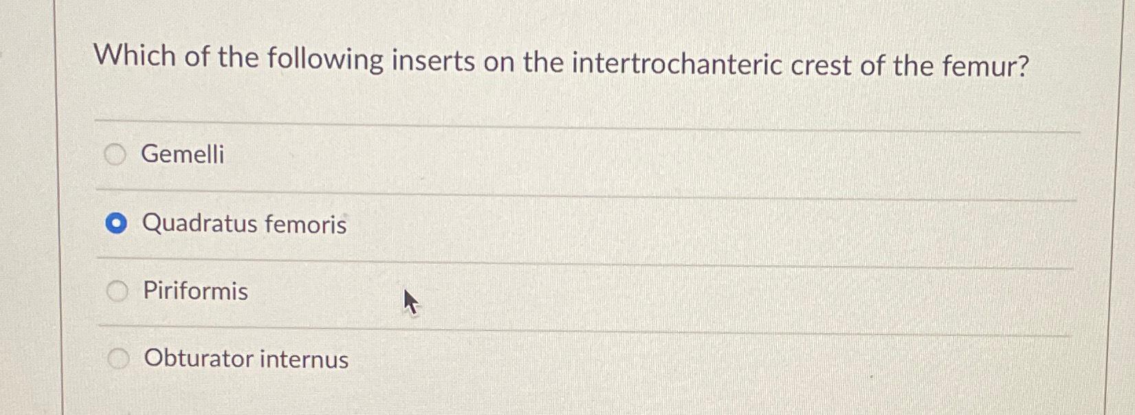 Solved Which of the following inserts on the | Chegg.com