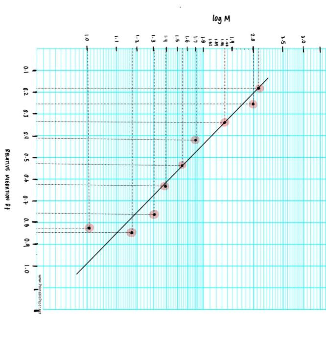 Solved can someone help me with this calobration curve on | Chegg.com
