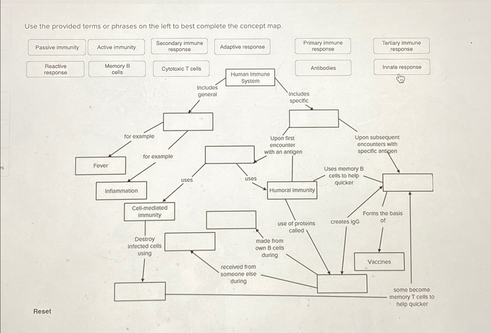 Solved Use the provided terms or phrases on the left to best | Chegg.com