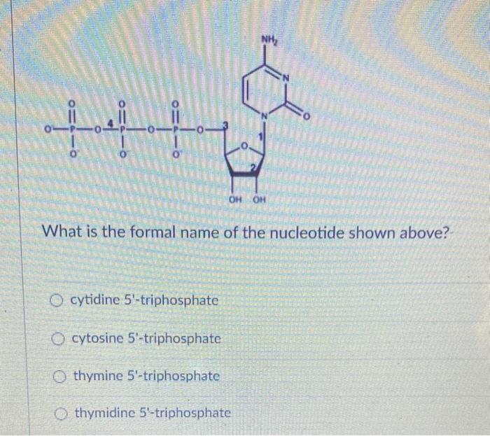 Solved What is the formal name of the nucleotide shown | Chegg.com