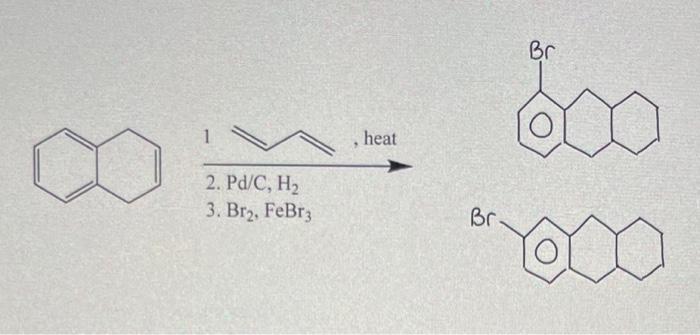 Solved 2. Pd/C,H2, heat 3. Br2,FeBr3 | Chegg.com
