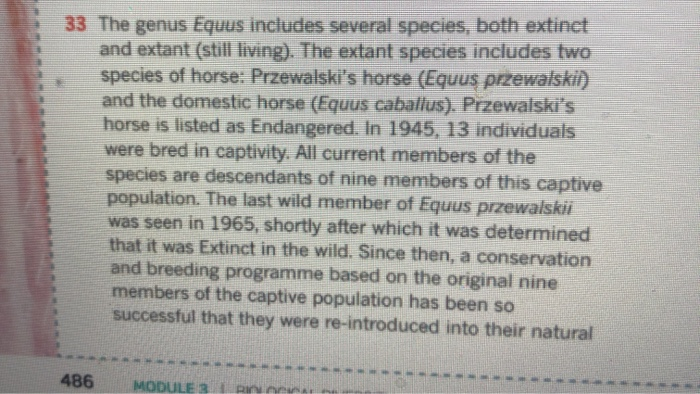 Solved 33 The genus Equus includes several species, both | Chegg.com