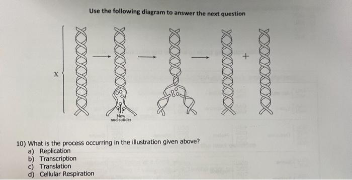Solved 3) Which of the following correctly identifies the | Chegg.com