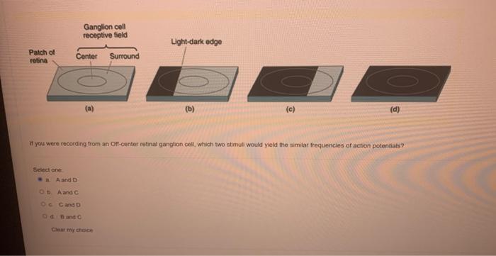 Solved It yoid wete recoding from an On-center retinal | Chegg.com