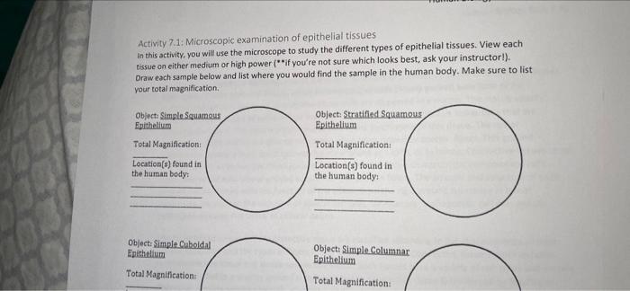 Solved Activity 7.1: Microscopic examination of epithelial | Chegg.com