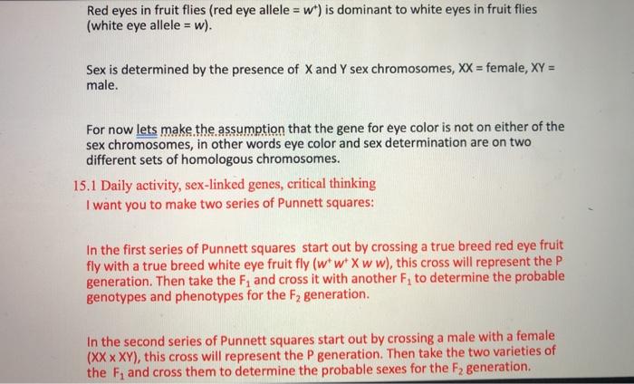 Solved Red eyes in fruit flies (red eye allele = w*) is | Chegg.com