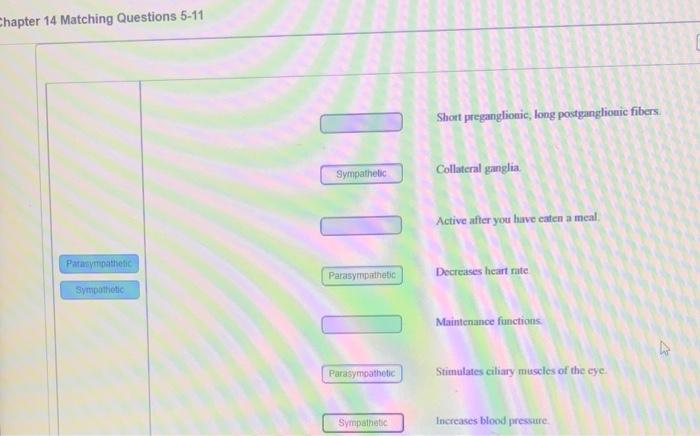Special Senses: Hearing and Equilibrium 9. During the | Chegg.com